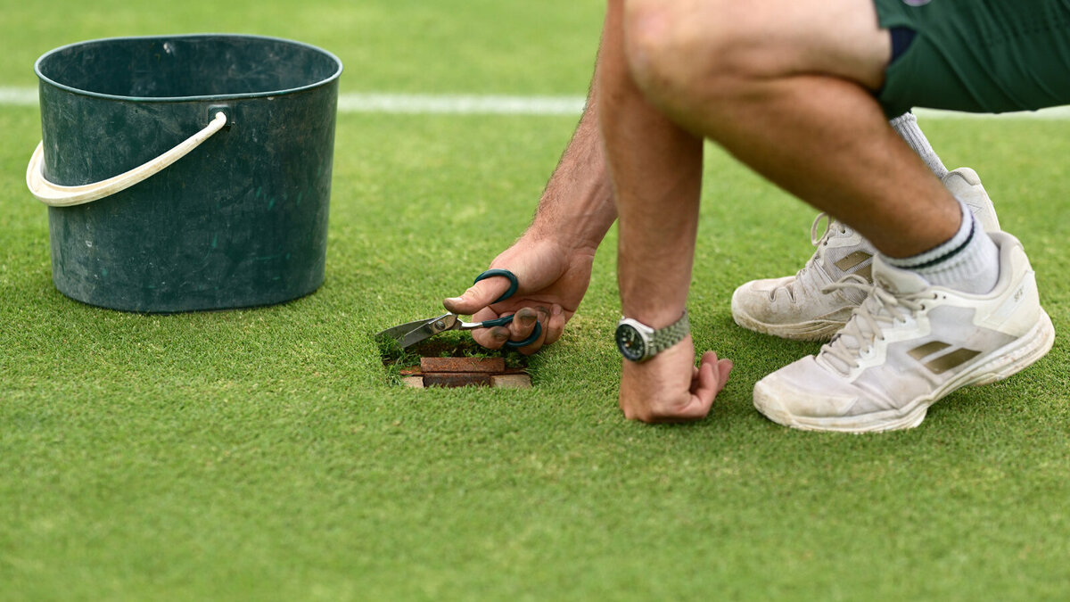 Mini-Wimbledon in Italien? Mailand bekommt offenbar wieder ATP-Turnier ...