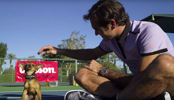 Tierische Überraschung für Federer · tennisnet.com