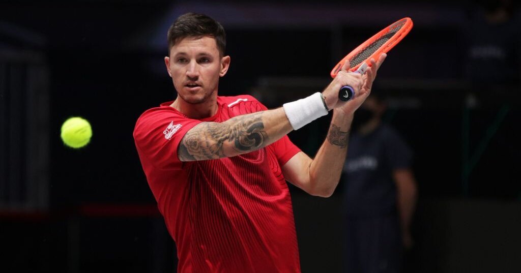 Australian Open: Dennis Novak cancels for qualification and hopes for ...